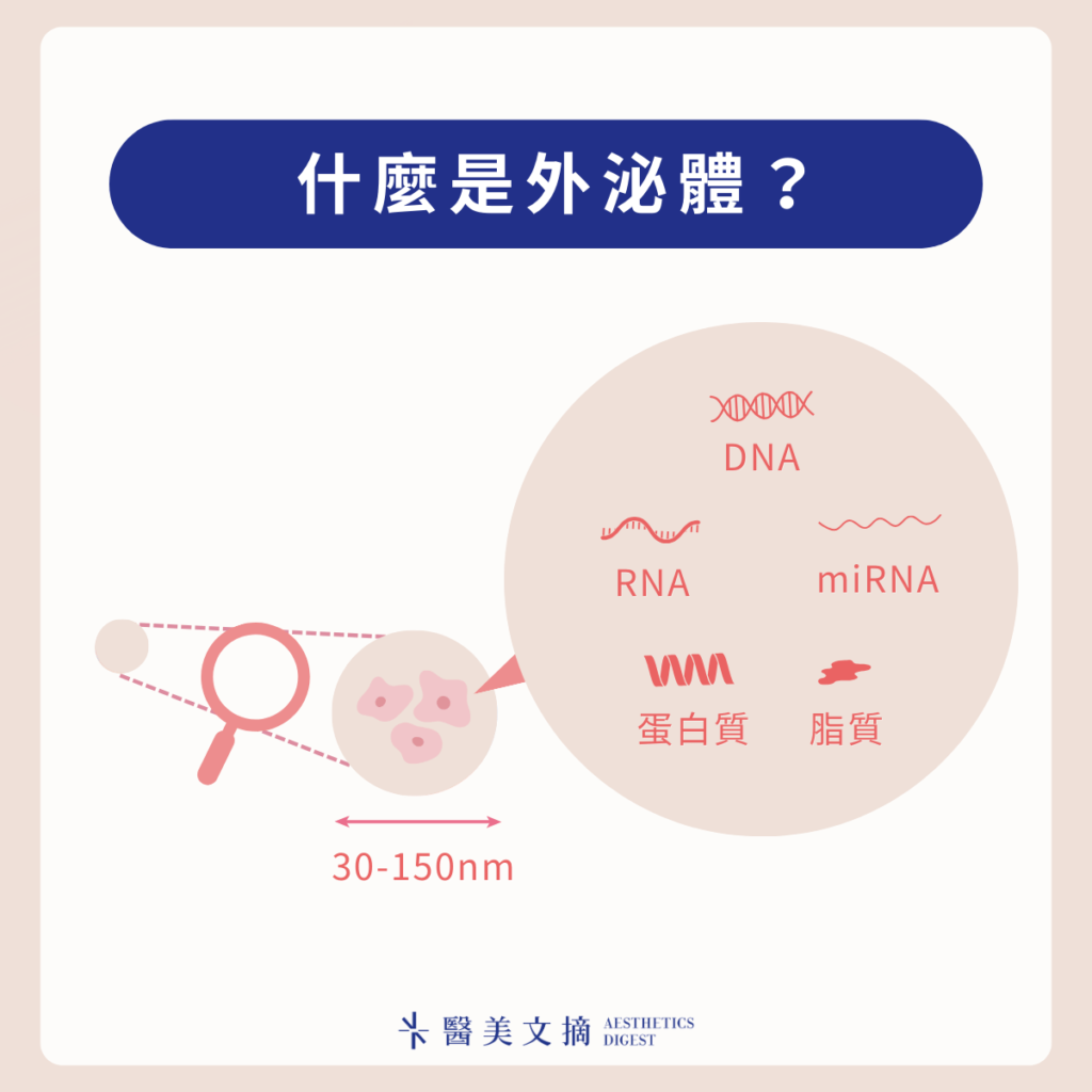 2025 革命性保養全能之選！「海洋肌泌 EXOCEAN」讓你重拾透潤嫩白年輕肌 - 醫美文摘